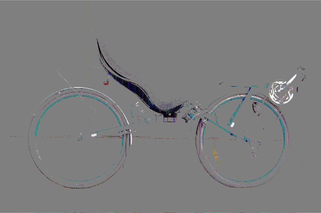 Flevo Racer Clone – Testament to human persistence | Recumbent.news