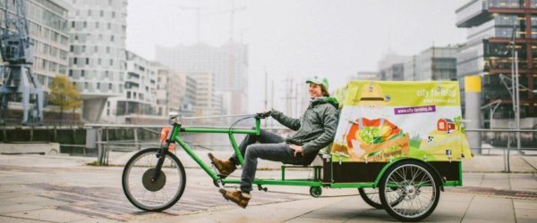 cargo-recumbent-semi-truck-style-bike-00004 | Recumbent.news