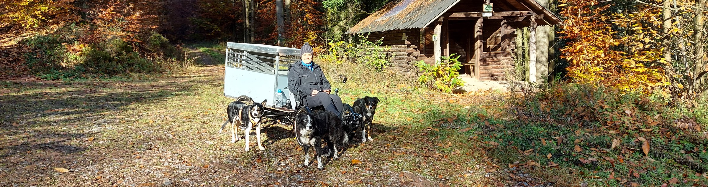 Happy rider of a recumbent quad Pony4 – Katja | Recumbent.news